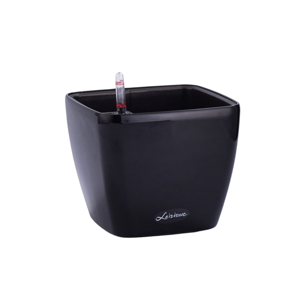 PlanterLife - Self-Watering Planters & Greenwalls Australia