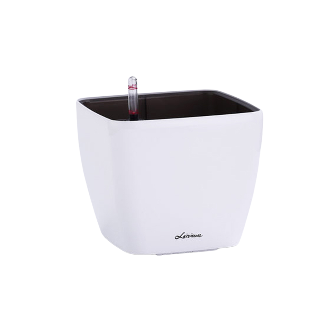 PlanterLife - Self-Watering Planters & Greenwalls Australia